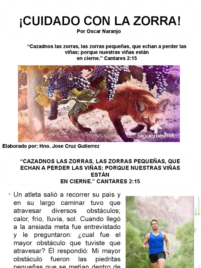 00-Cuidado Con Las Zorras | PDF