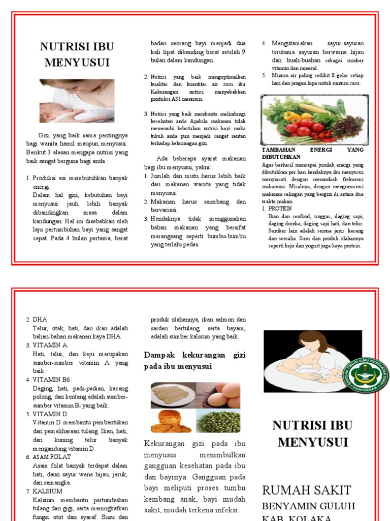 Leaflet Nutrisi Ibu Menyusui | PDF