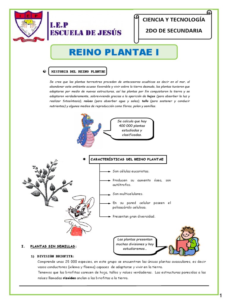 2DO CT, CCSS, DPCC II BIM - Pagenumber | PDF | Plantas | Musgo