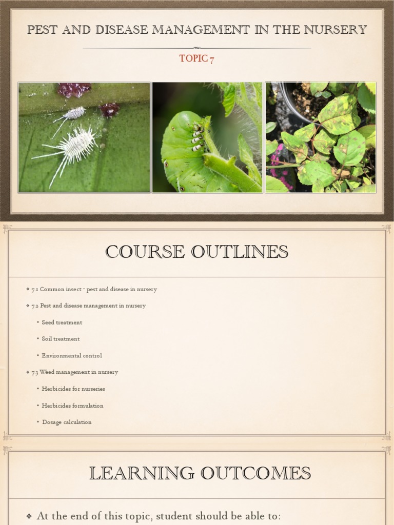 Nursery Pest & Disease Management | PDF | Pest (Organism) | Plant Pathology