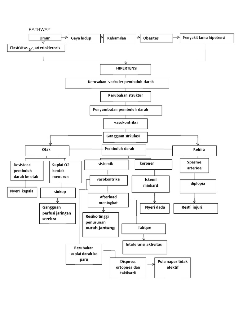 Pathway Hipertensi | PDF