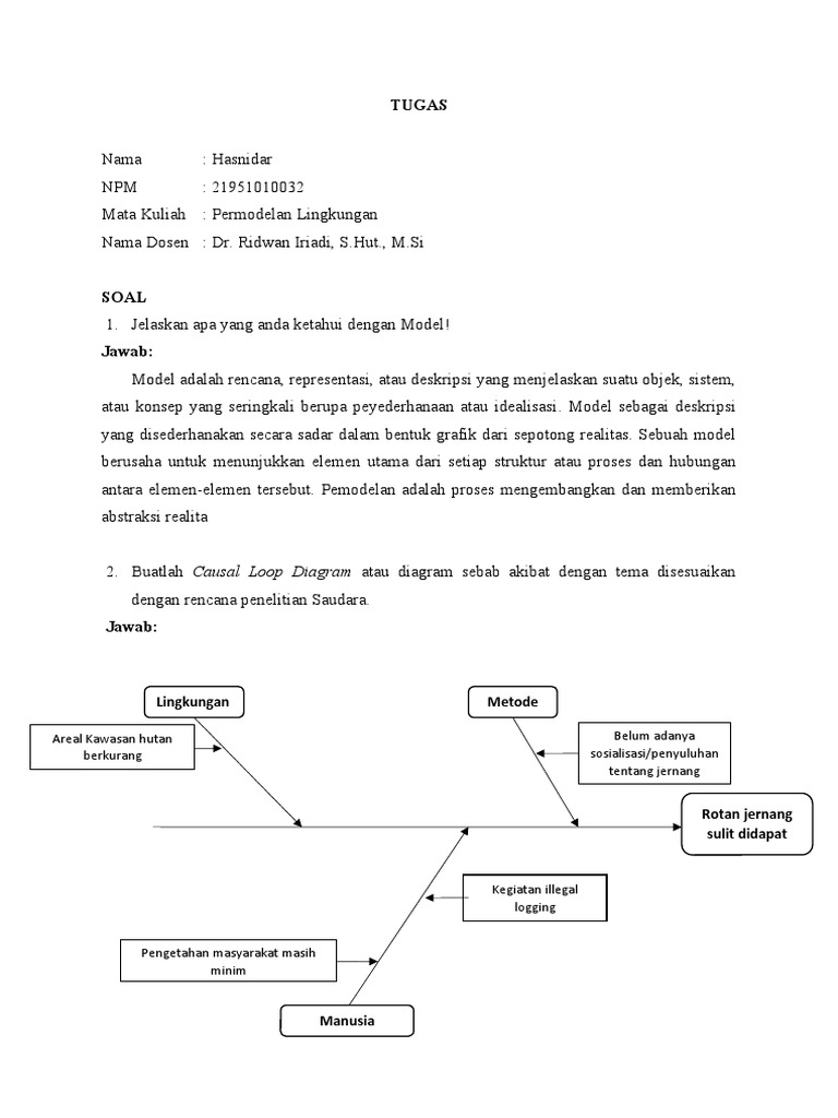 Tugas Pemodelan Lingkungan Hasnidar | PDF