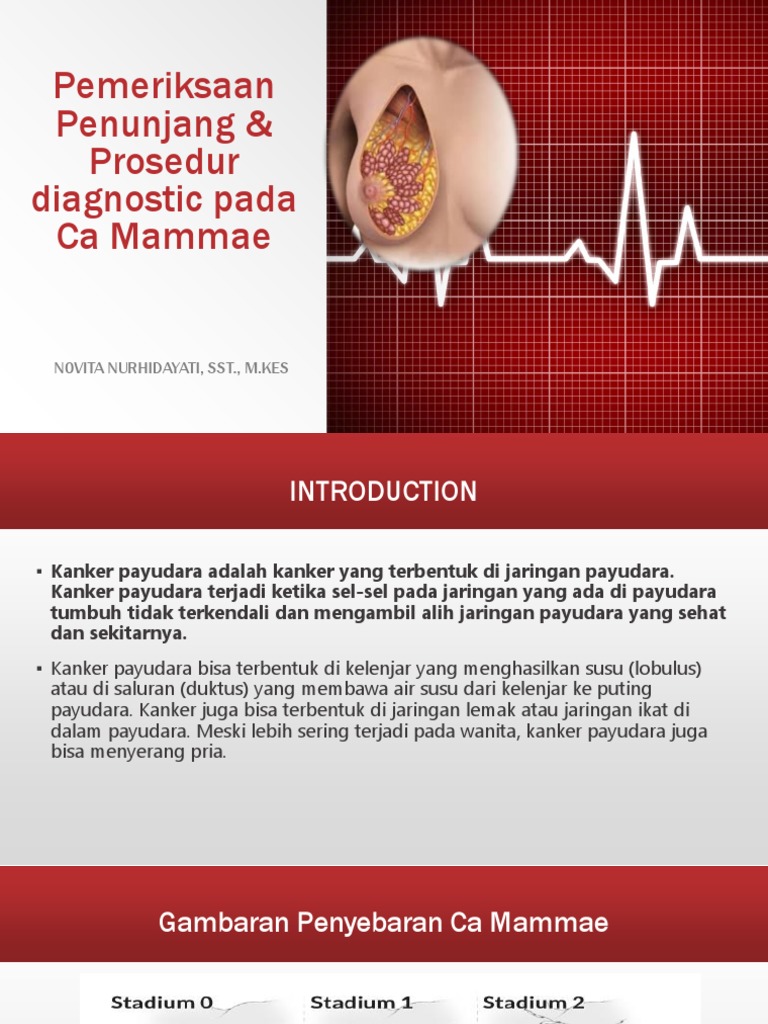 Pemeriksaan Penunjang & Prosedur Diagnostic Pada CA Mammae | PDF