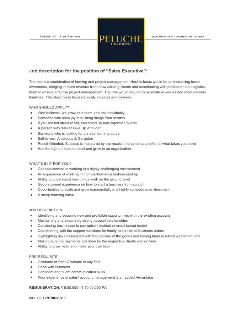 Sales Executive Job Description and Role | PDF