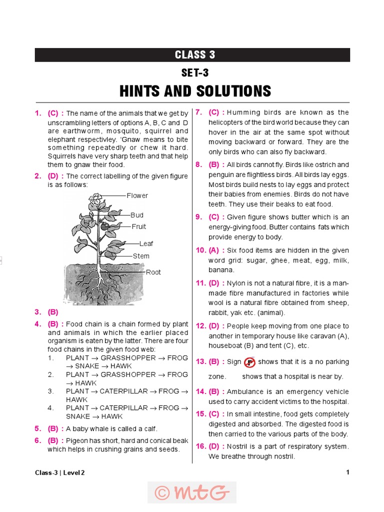 Nso Level2 Solution Class 3 Set 3 | PDF | Social Science | Science ...