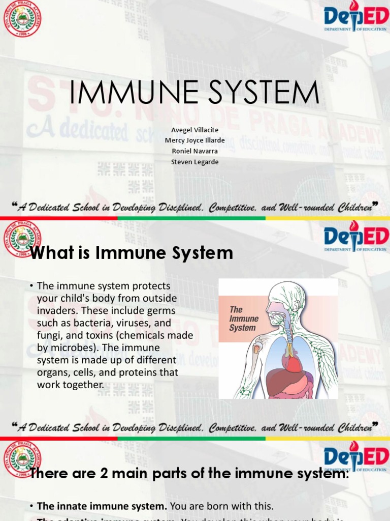 Gen Bio - Immune System | PDF | Lymphatic System | Immune System