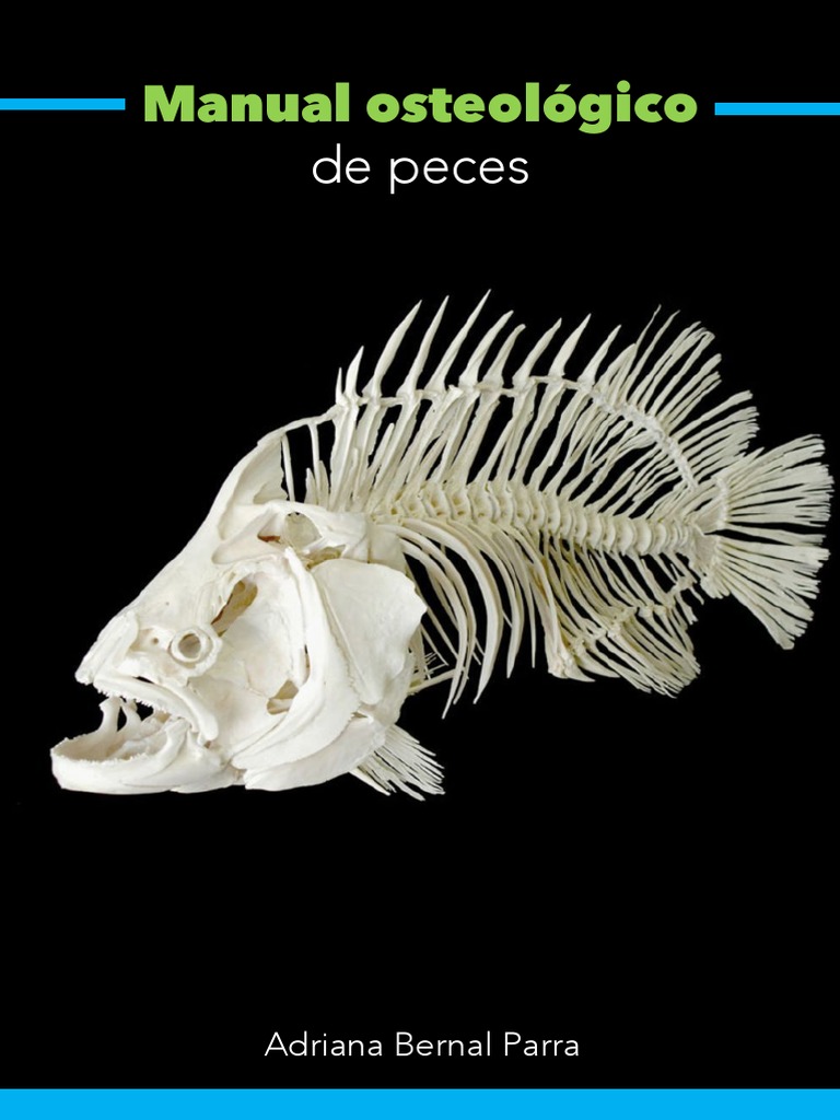 Osteología de peces: guía ilustrada | PDF | Esqueleto | Cráneo