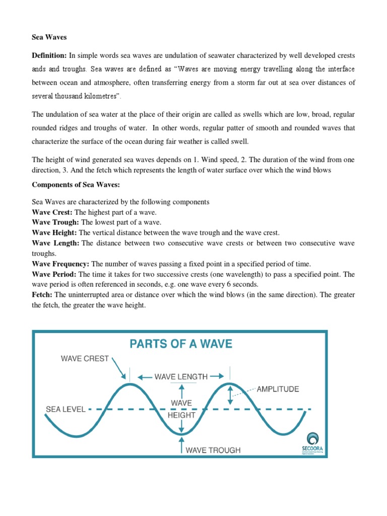 Sea Waves Definition Causes Types | PDF | Shoal | Beach