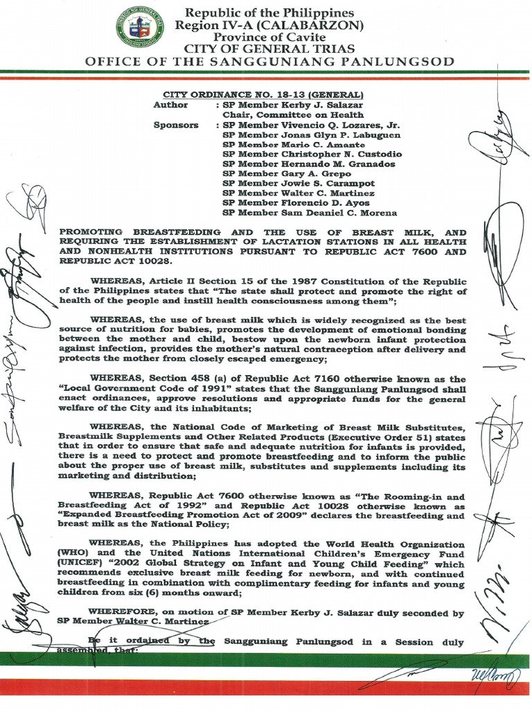 City Ordinance No. 18 13 GENERAL | PDF