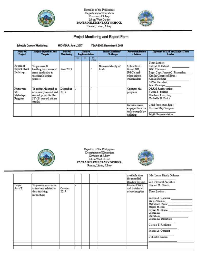 2017 Project Activity Design & Report Form | PDF