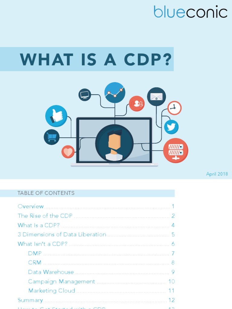 Ebook What Is A CDP - BlueConic | PDF | Customer Relationship Management | Marketing