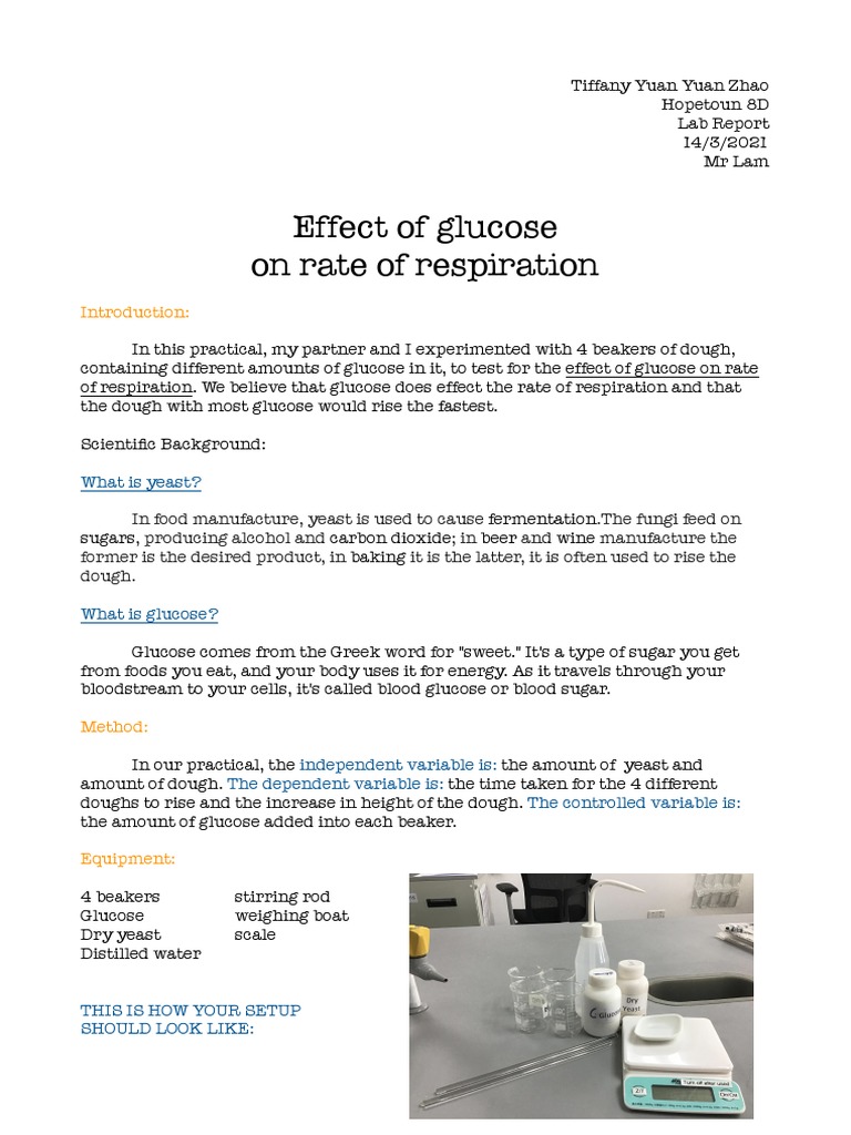Lab Report | Download Free PDF | Glucose | Yeast