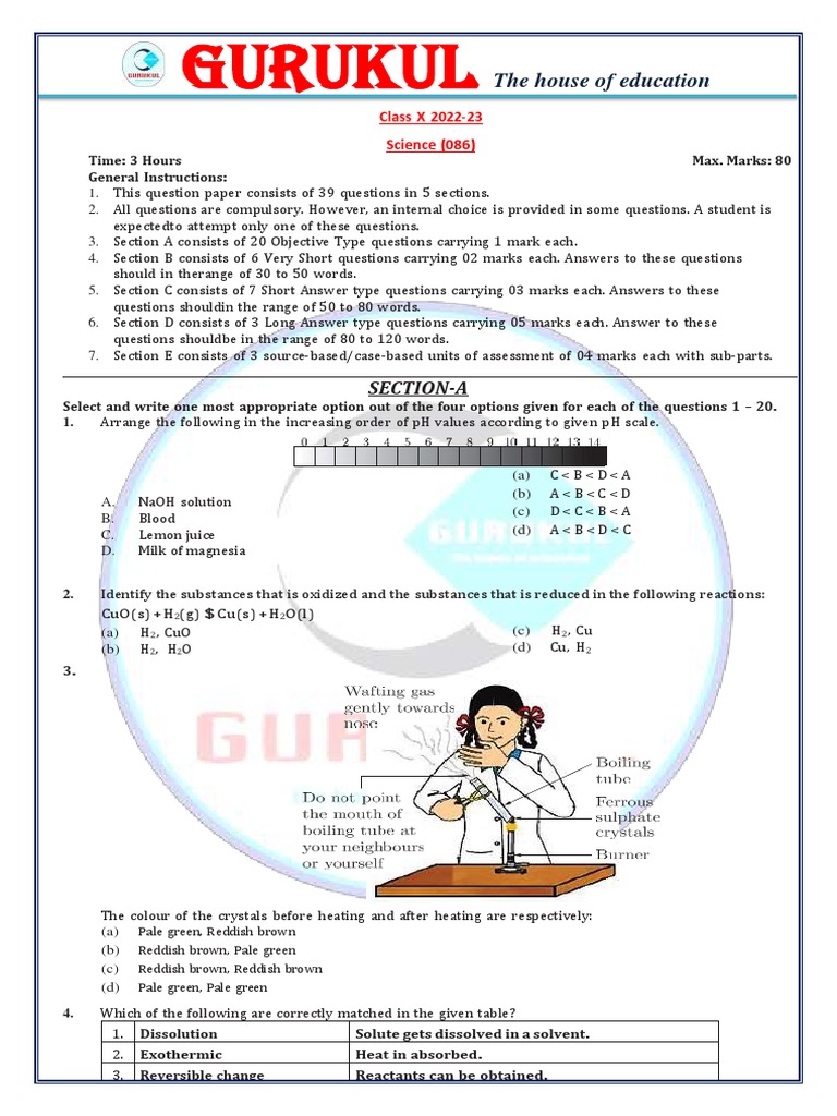 Science Exam Questions Cover Key Concepts | PDF | Nerve | Refraction