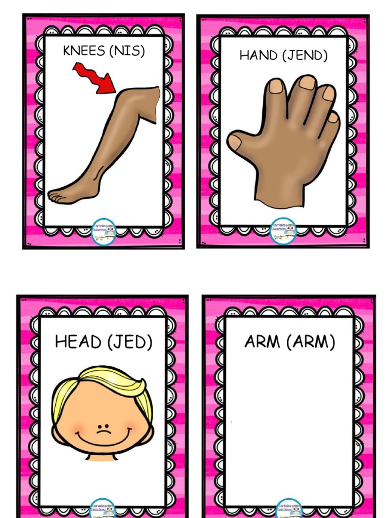 Tarjetas Partes Del Cuerpo | PDF