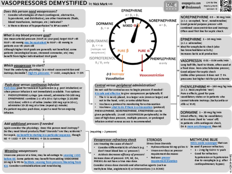 ICU One Pager Vasopressors | PDF | Shock (Circulatory) | Intravenous ...