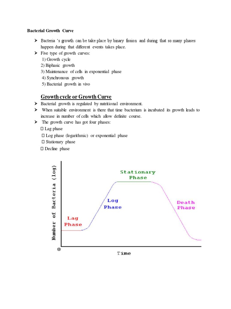 Bacterial Growth Curve Phases Explained | PDF | Bacteria | Ph