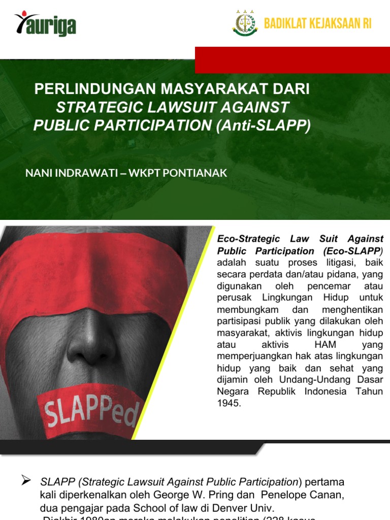 Anti Slapp | PDF