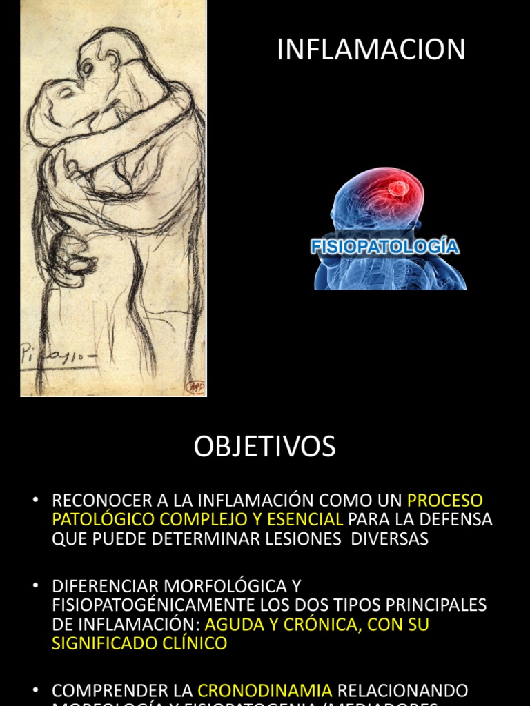 Presentacion Inflamación | PDF | Inflamación | Citocina