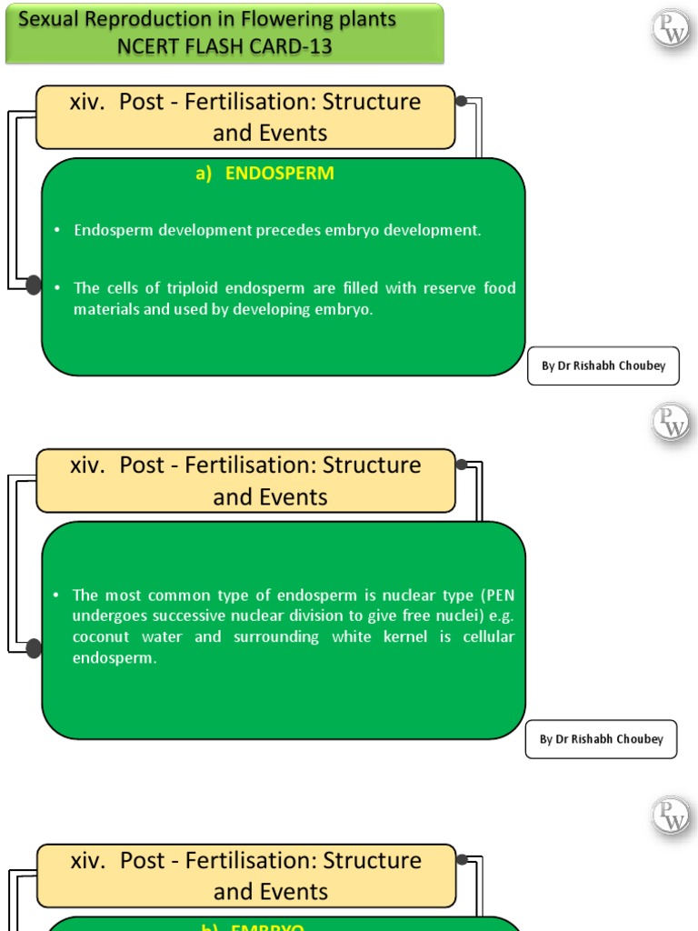 Sexual Reproduction in Flowering Plant Ncert Flash Card 13 | PDF | Seed ...