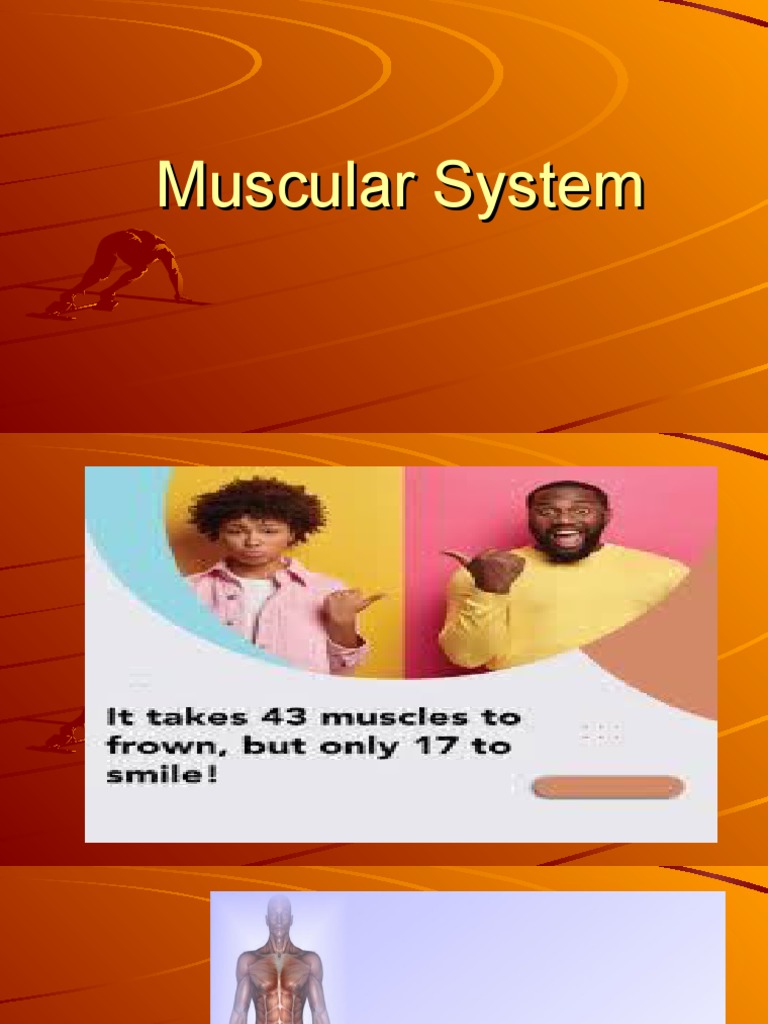 e-muscular-system-revised-pdf-anatomical-terms-of-motion