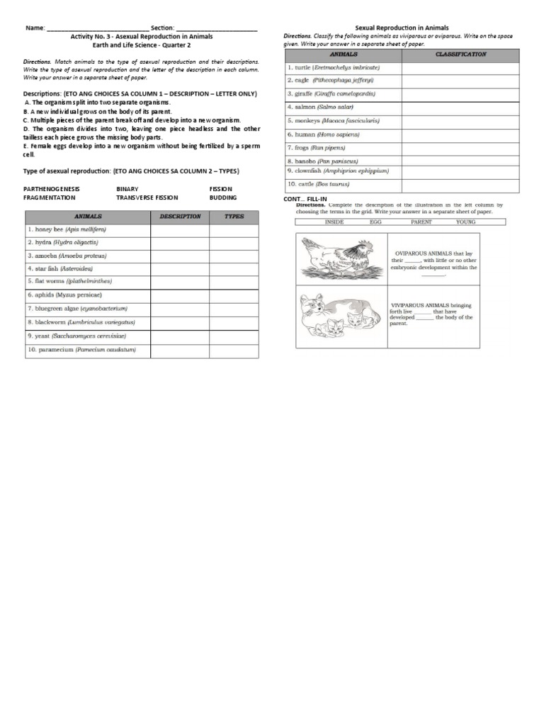 Activity No. 3 | PDF