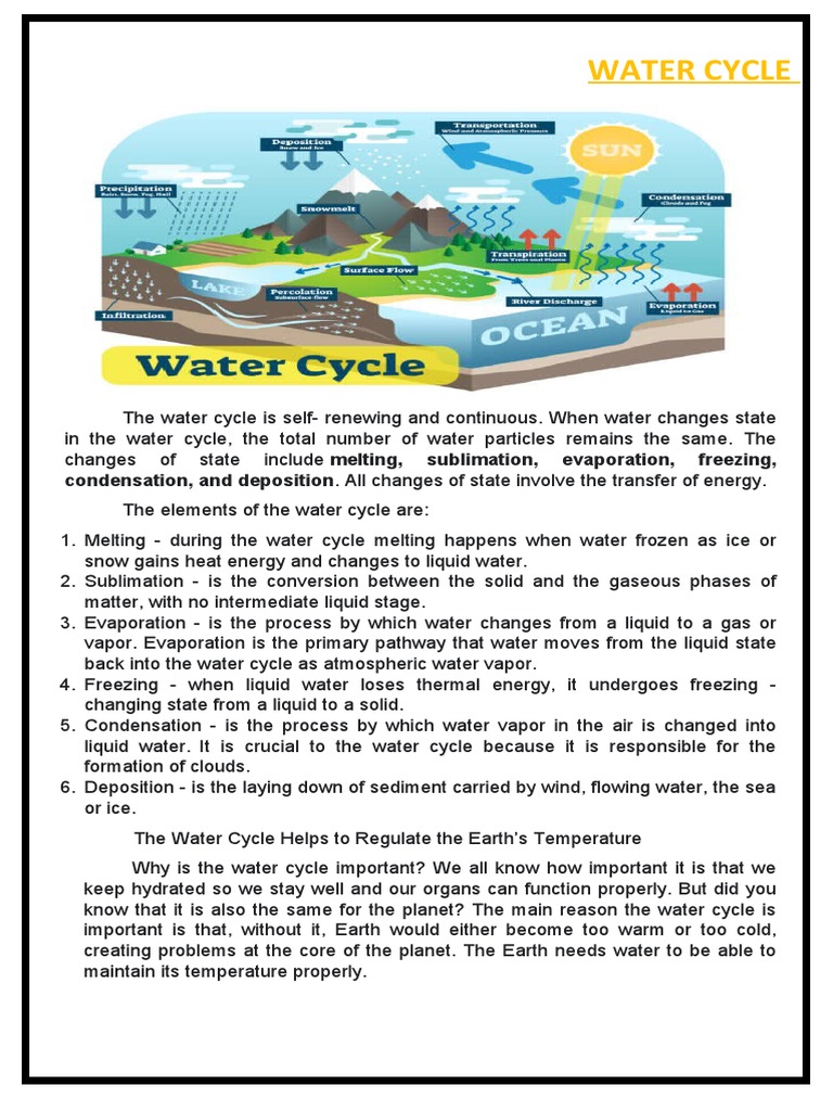 Water Cycle | PDF