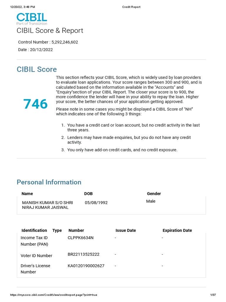 Credit Report | Download Free PDF | Finance & Money Management | Credit