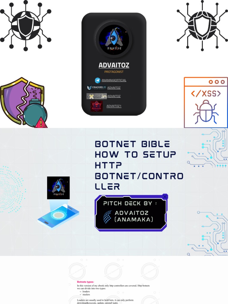 Botnet Bible | PDF