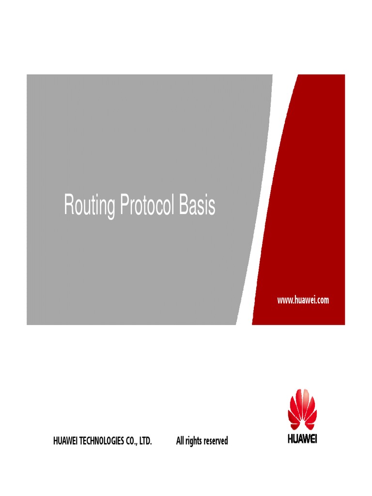 2 Routing Protocol Basis Pdf Routing Computer Science