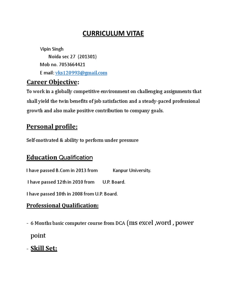 CV Vipin Promoter Retail Sales 2 | PDF