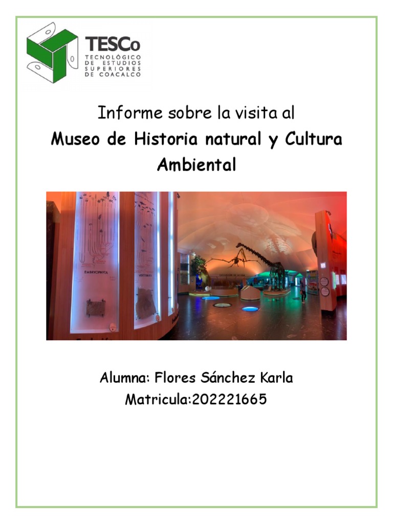 Informe de Visita Al Museo | PDF | Museo | Evolución