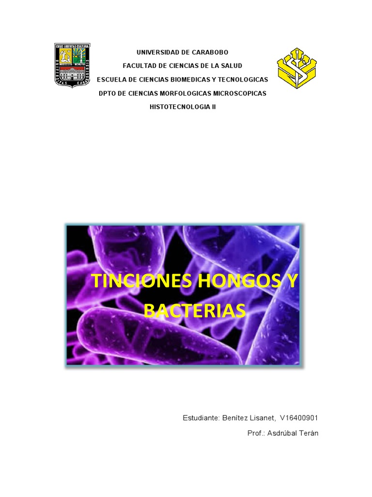 Importancia de las tinciones de hongos y bacterias para el diagnóstico ...