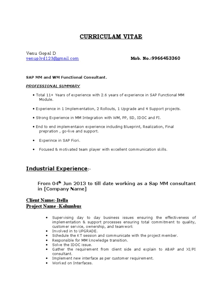 SAP MM Sample Resume 3 | PDF | Computing | Information Technology ...