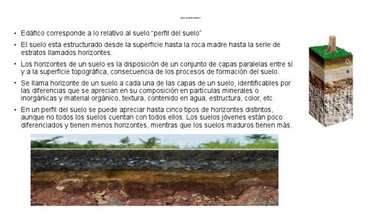 Qué Es Perfil Edáfico | PDF