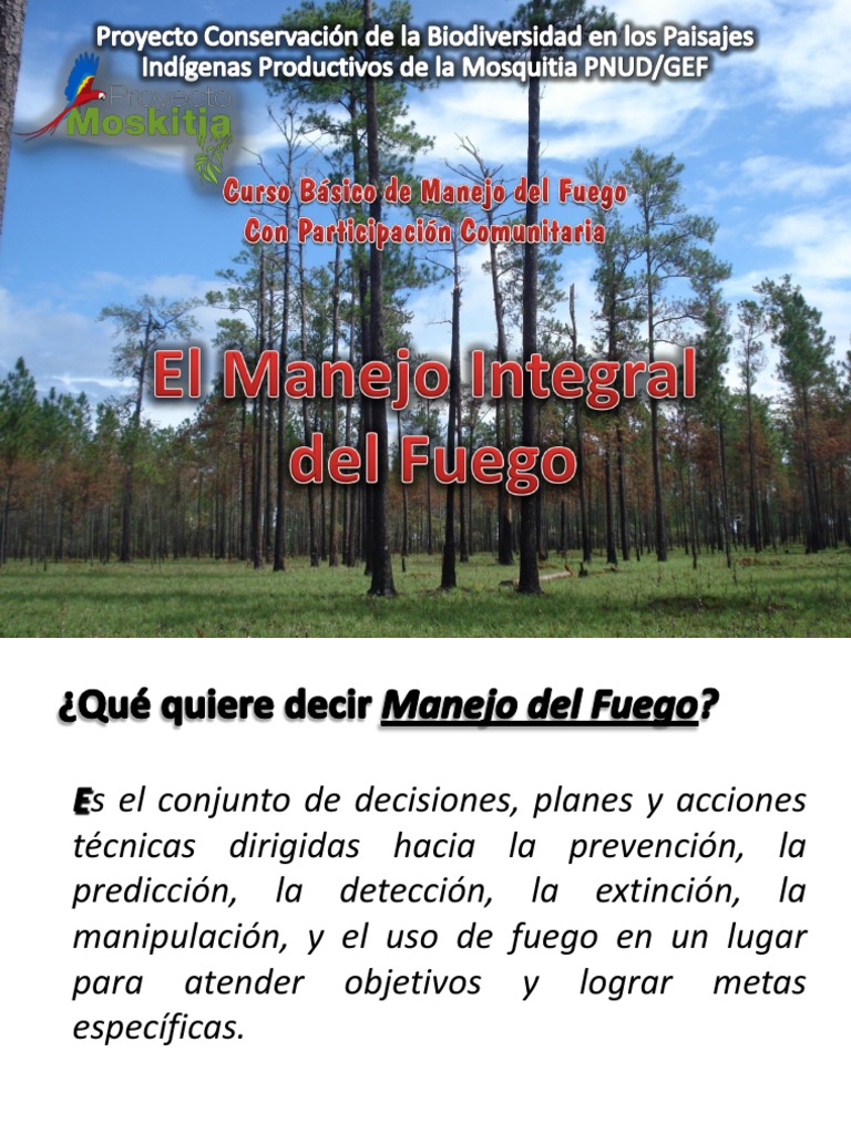 B. El Manejo Integral Del Fuego | PDF | Incendios | Fuego fatuo