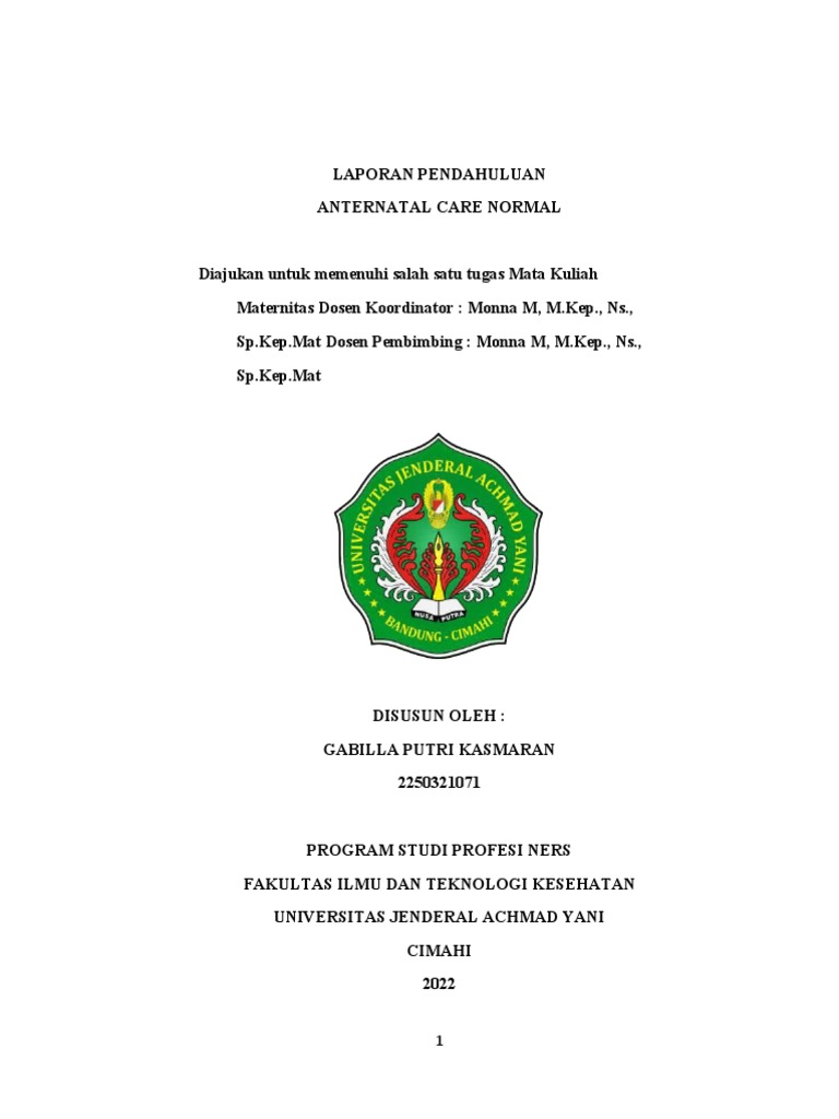 LP Anternatal Care Irvan | PDF