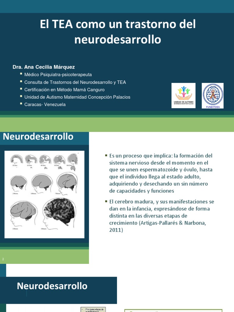 TEA Como Trastorno Del Neurodesarrollo | PDF | Discapacidad intelectual | Espectro autista