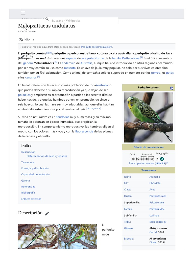 Periquito Australiano: Taxonomía y Cría | PDF | Aves | Ornitología