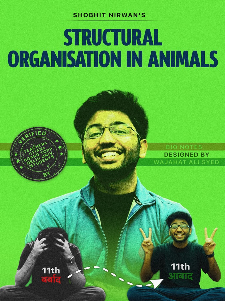 Structural Organisation in Animals - Shobhit Nirwan | PDF | Digestion ...