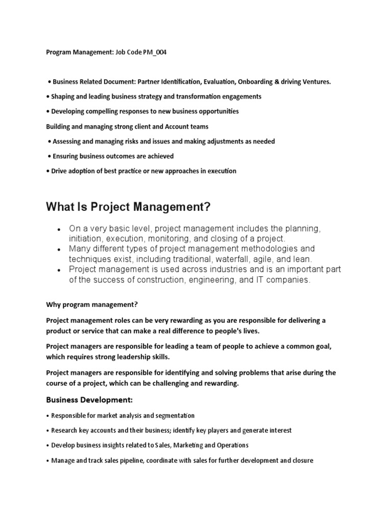 Program Management | PDF | Project Management | Sales