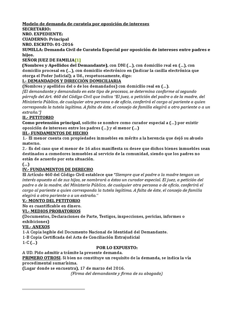 MODELO DE CURATELA - POR OPOSICISION | PDF | Demanda judicial | Gobierno