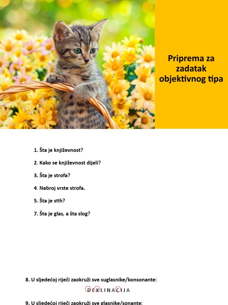 Priprema Za ZOT | PDF