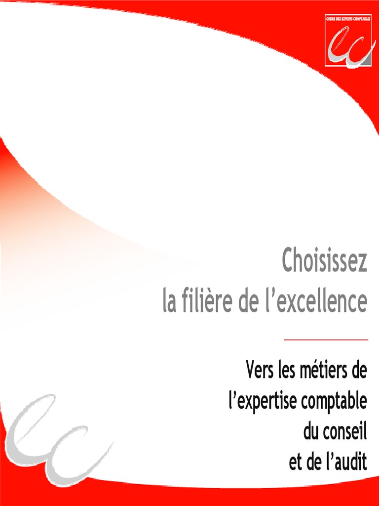 Métiers de l'expertise comptable et audit | PDF | Audit | Business