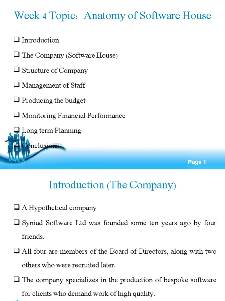 Anatomy Of A Software House Pdf Gross Margin Business
