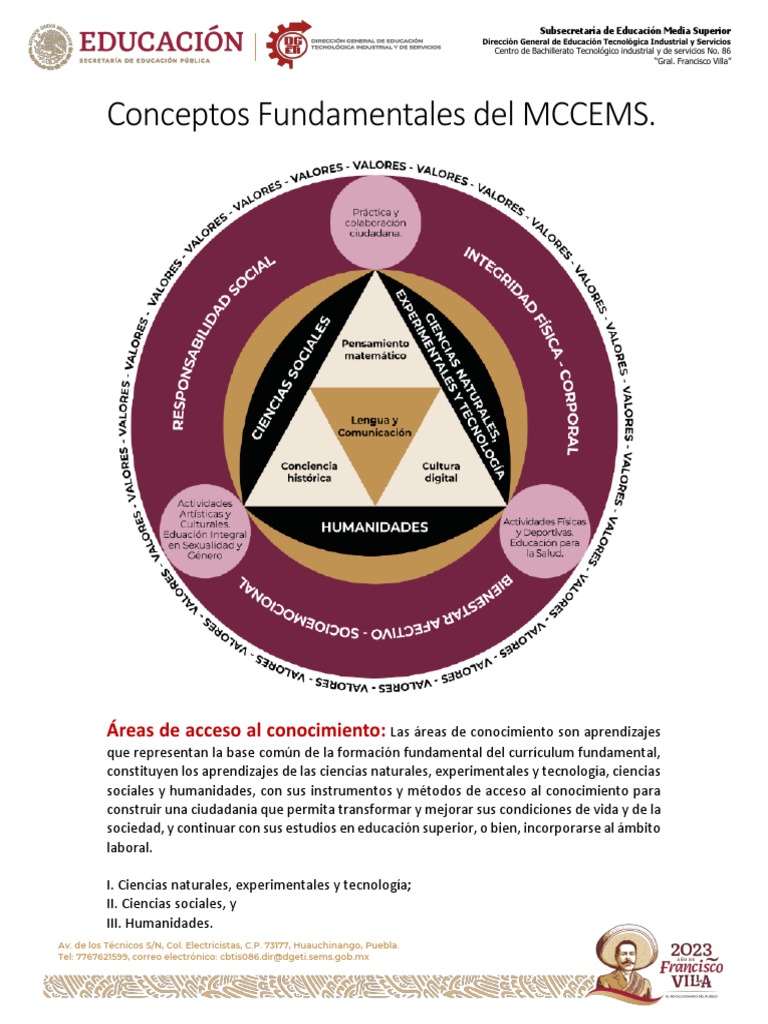 Concpetos Fundamentales - Mccems | PDF | Conocimiento | Pensamiento