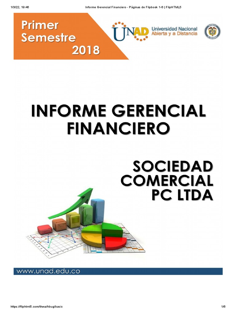 Ejemplo de Informe Gerencial Financiero | PDF