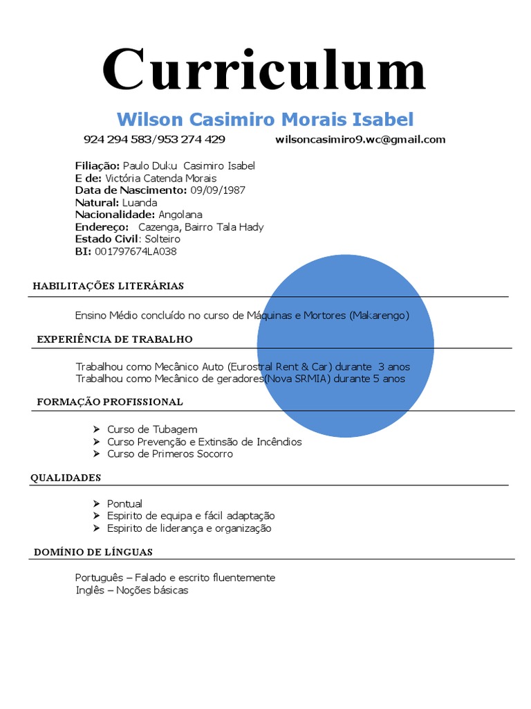 CV Actualizado Wilson | PDF