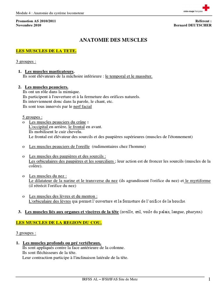 Anatomie des Muscles du Système Locomoteur | PDF | Jambe humaine | Bras