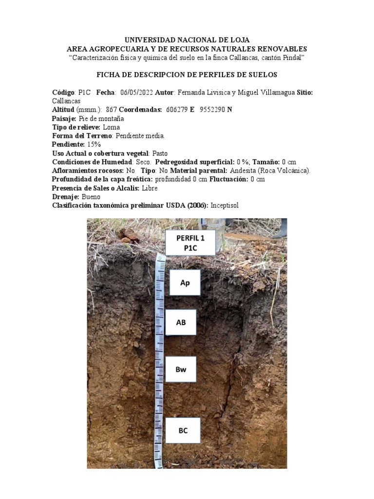 Ficha Descripción de Suelos P1 Y P2 | PDF | Suelo | Materiales