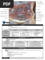 Vertebral Levels and Landmarks | PDF